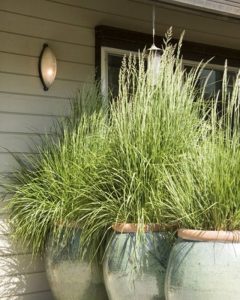 6 Great Tips for Landscaping Around Your AC Unit